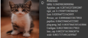 Image Recognition with AI(TensorFlow) - AskPython